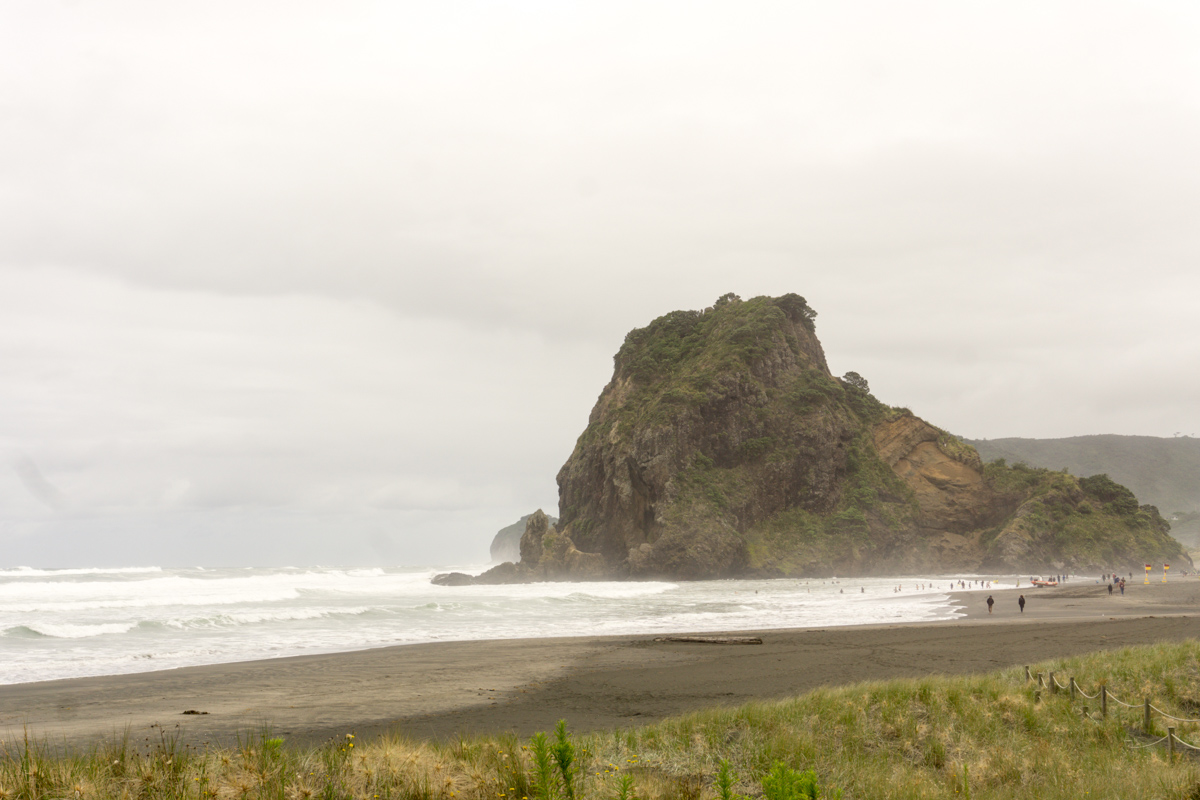 Auckland | oaks + compass