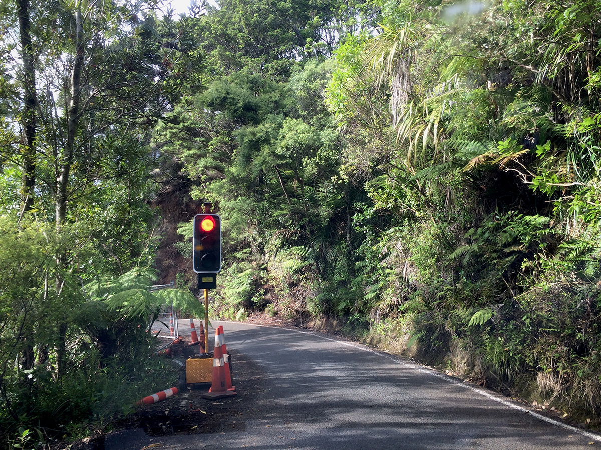 Auckland | oaks + compass